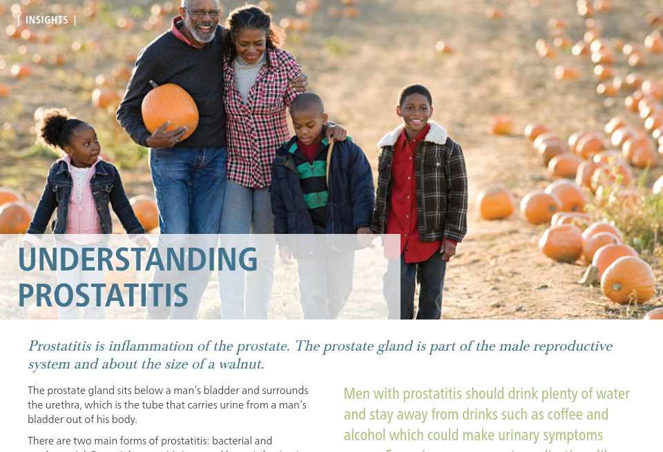 Insights - Fall 2017