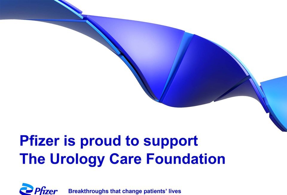 Pfizer - Winter 2021-2022